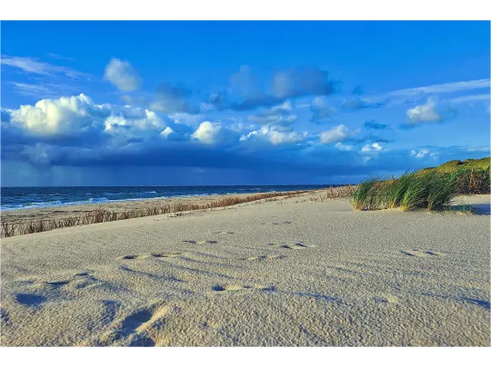 Landschaftsbild Die Dünen von Sylt als Wandbild Grösse (4:3) 60 x 40cm ...